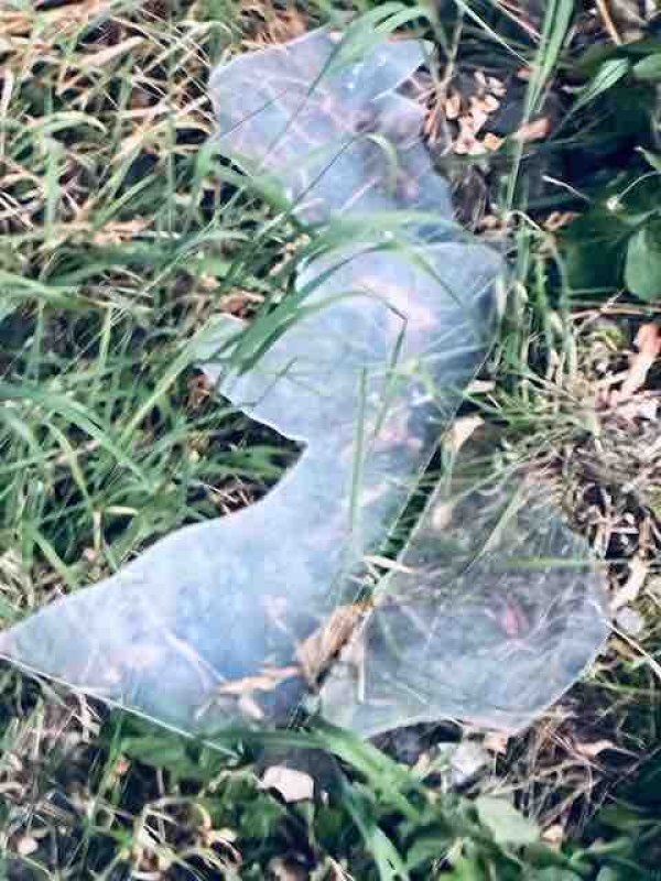 WORK MEDIA GROUP - FIS